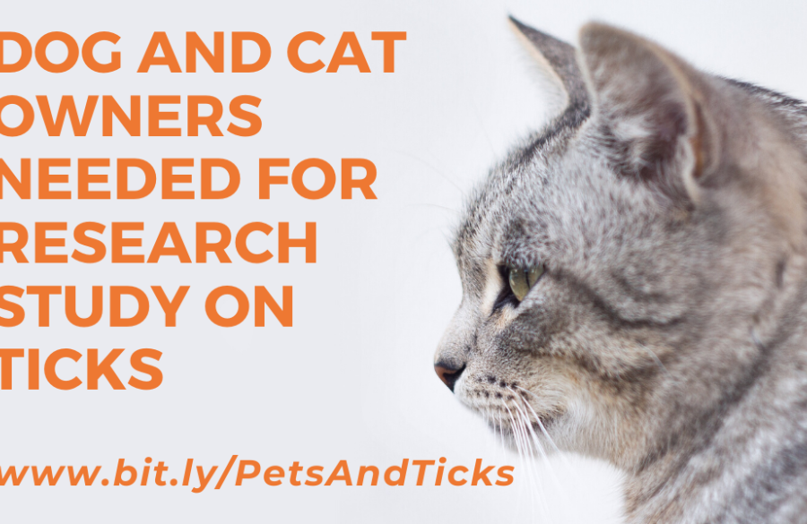 Wisconsin Ticks and Tick-borne Diseases – Department of Entomology ...