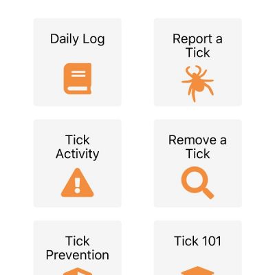 Tick Identification – Wisconsin Ticks and Tick-borne Diseases – UW–Madison