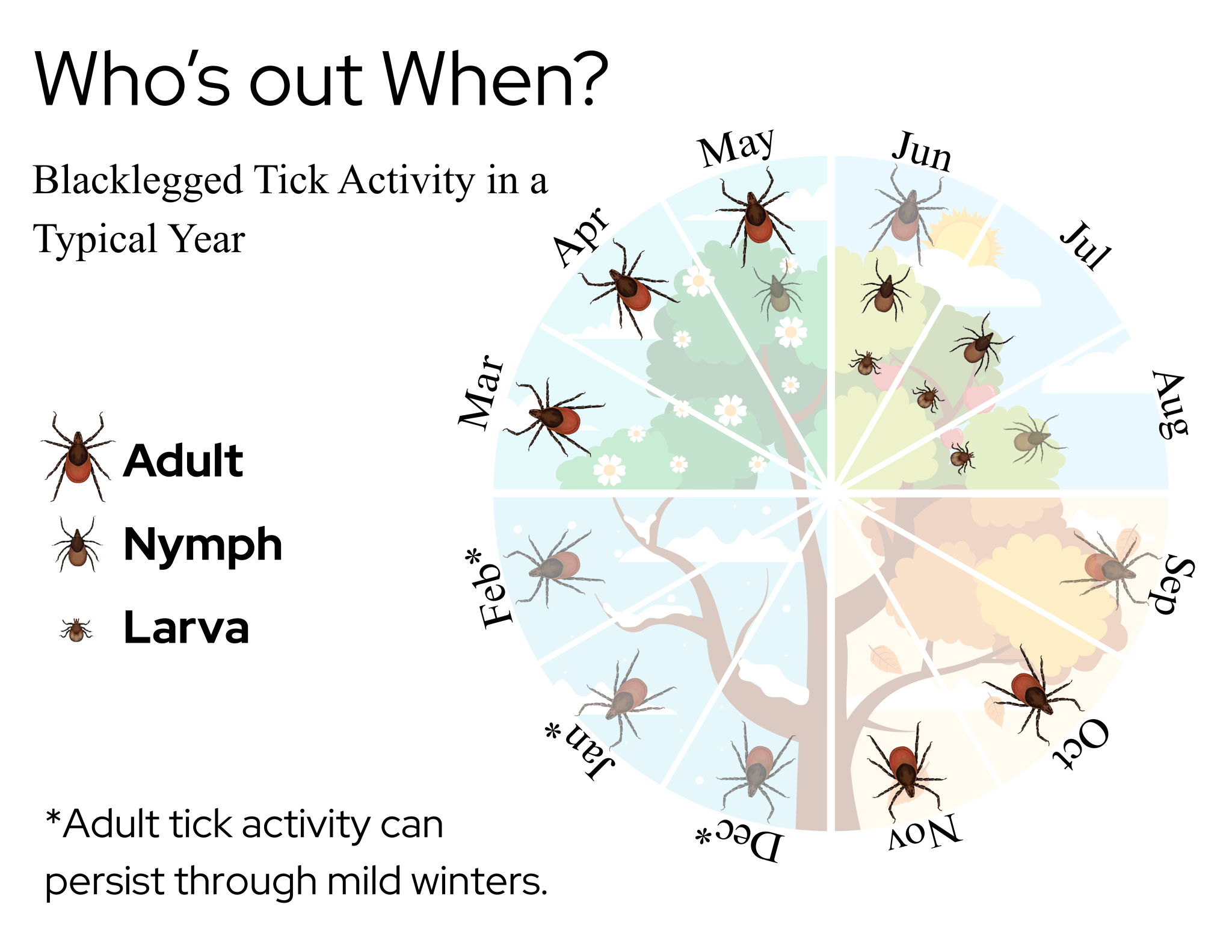 Wisconsin Ticks and Tick-borne Diseases – Department of Entomology ...